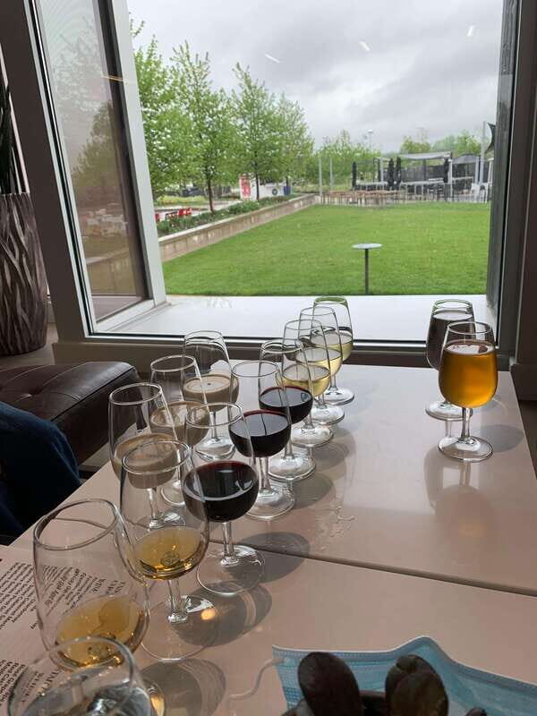 Relaxing Lunch & Wine Tour through Niagara's Wine Country - What Past Travelers Say
