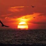Relaxing Sunset/Evening Cruise in Newport Beach - The Detailed Itinerary
