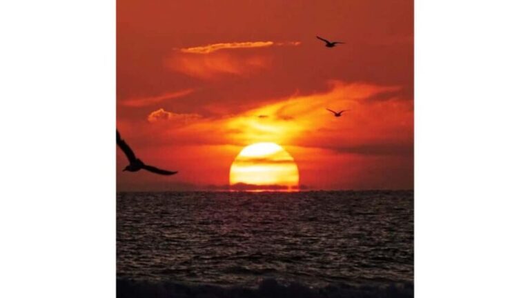 Relaxing Sunset/Evening Cruise in Newport Beach - The Detailed Itinerary