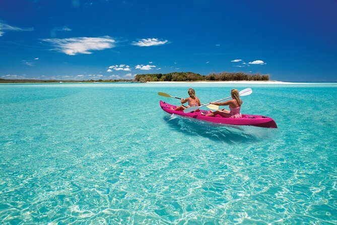 Remote K'gari (Fraser Island) & Whale Experience - The Tour Itinerary in Detail