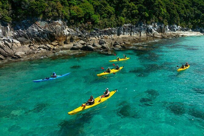 Remote Marine Reserve - Guided Kayaking - New Zealand - What Travelers Say: Authentic Experiences and Scenic Wonders
