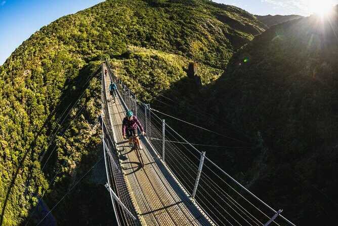 Remutaka Rail Trail eBike Explorer Cycle Tour - An In-Depth Look at the Remutaka Rail Trail eBike Tour
