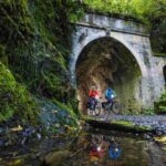 Remutaka Rail Trail eBike Shore Excursion for Cruise Ships - The Itinerary and Experience Breakdown