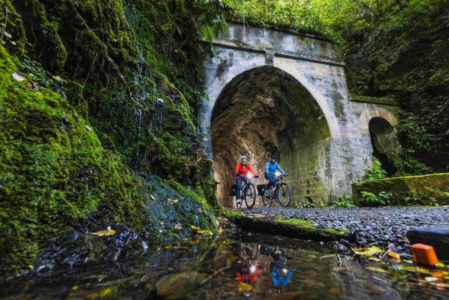 Remutaka Rail Trail eBike Shore Excursion for Cruise Ships - The Itinerary and Experience Breakdown