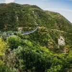 Remutaka Rail Trail Mountain Bike Explorer Cycle Tour - Who Will Love This Tour?