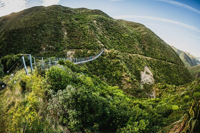 Remutaka Rail Trail Mountain Bike Explorer Cycle Tour - Who Will Love This Tour?