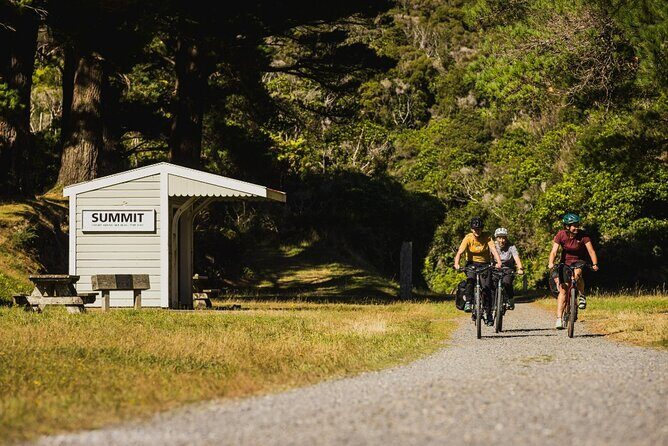 Remutaka Rail Trail- Wellington eBike Cruise Ship Shore Excursion - The Value of the Experience
