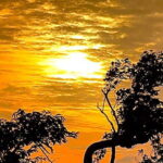 Rent a Tuk Tuk & take a Hike for an amazing Sunset in Tissa! - The Highlight: The Hike to the Mountain Temple and Sunset