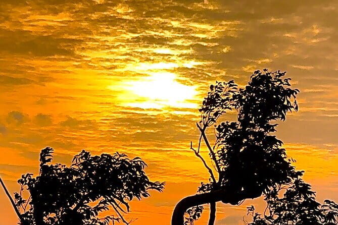 Rent a Tuk Tuk & take a Hike for an amazing Sunset in Tissa! - The Highlight: The Hike to the Mountain Temple and Sunset