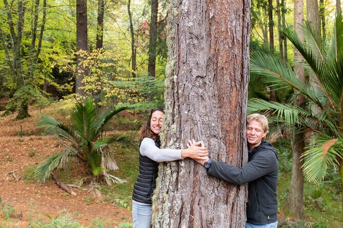 Rere Falls & Eastwoodhill Arboretum Tour with Refreshments - What to Expect: A Detailed Breakdown of the Tour