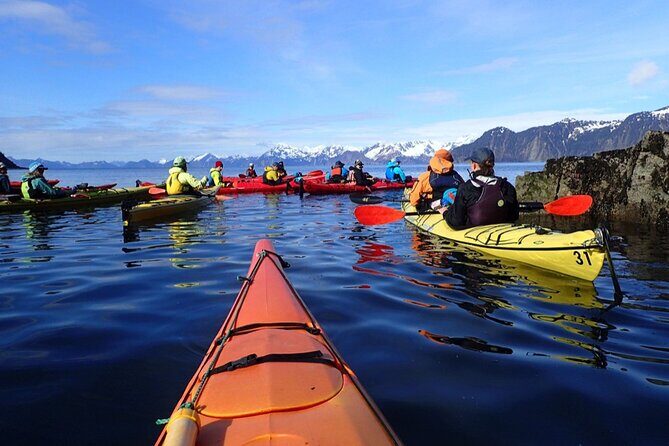Resurrection Bay Waterfall And Rainforest Adventure - Detailed Breakdown of the Itinerary