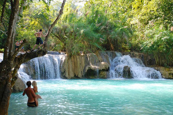 Rice is Life Experience & Kuang Si Waterfall - Luang Prabang full day tour - Introduction: A Taste of Authentic Luang Prabang