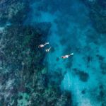 Ride & Slide by South Sea Cats - Half Day Snorkelling Trip - Cost and Overall Value