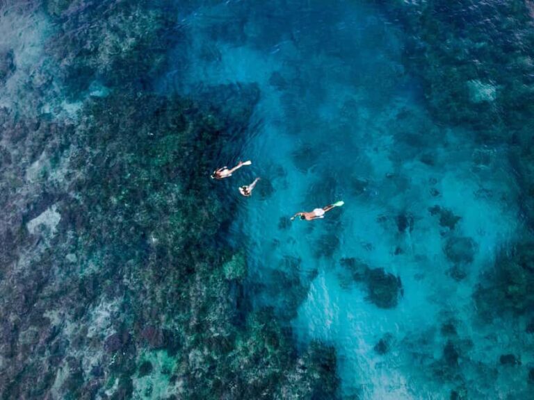 Ride & Slide by South Sea Cats - Half Day Snorkelling Trip - Cost and Overall Value