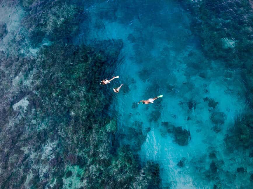 Ride & Slide by South Sea Cats - Half Day Snorkelling Trip - Cost and Overall Value