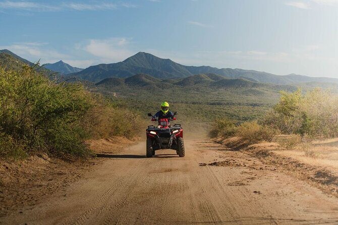 Ride the Wild Camel Safari and Off Road Rush - Why This Tour Works Well