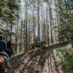 Ridge Ride 2-Hour Horseback Trail Ride in Kananaskis - Analyzing the Itinerary: What You Can Expect