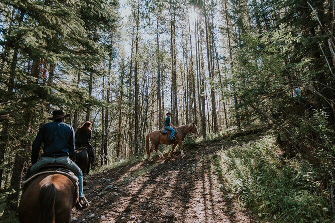 Ridge Ride 2-Hour Horseback Trail Ride in Kananaskis - Analyzing the Itinerary: What You Can Expect