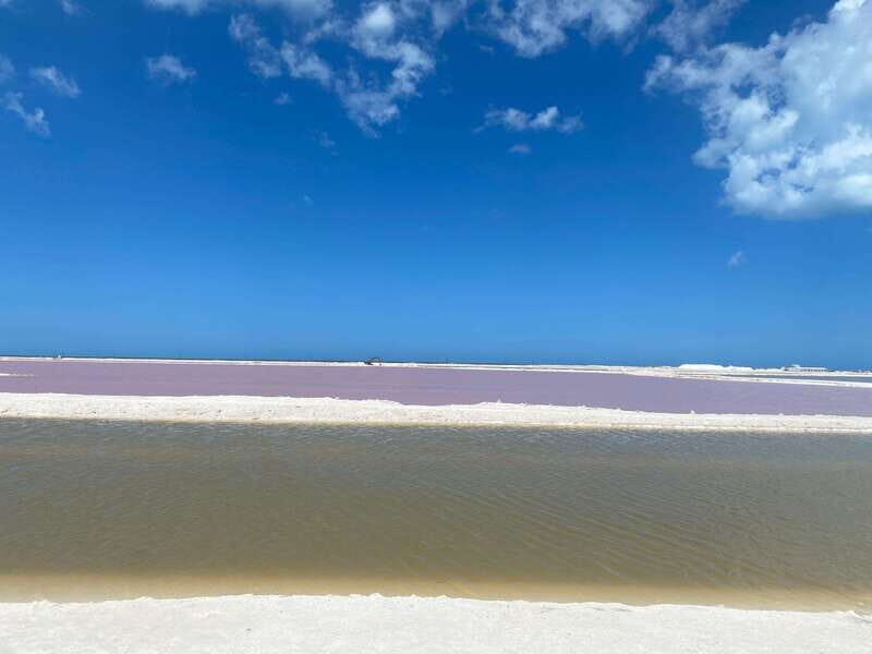 Rio Lagartos and Las Coloradas: EcoSafari Flamingo classic - What About the Experience and Value?