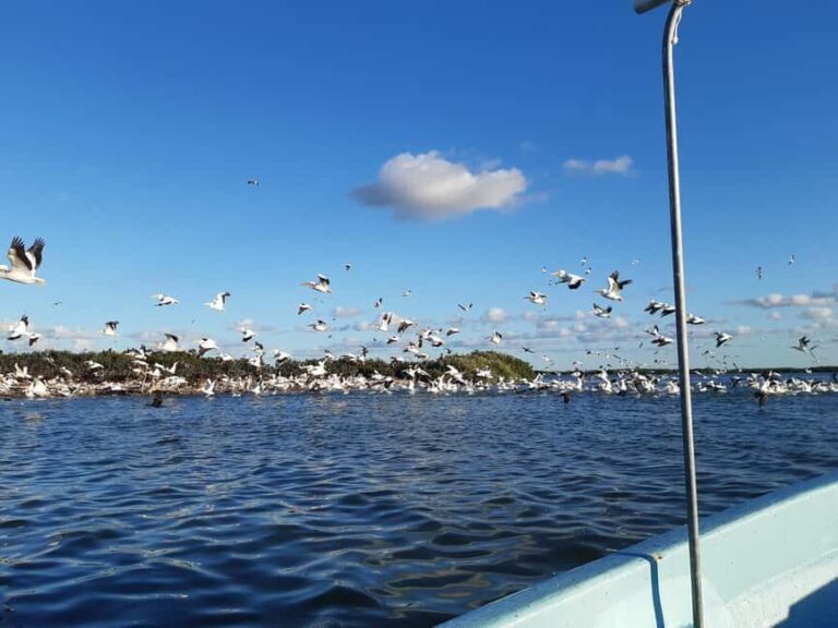 Rio Lagartos and San Felipe: Cerritos Island, adventure tour and Mayan culture. - The Richness of Cerritos Island: Nature and Archaeology