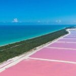 Río Lagartos y Las Coloradas Private Tour from Merida - Authentic Experiences and What Travelers Say
