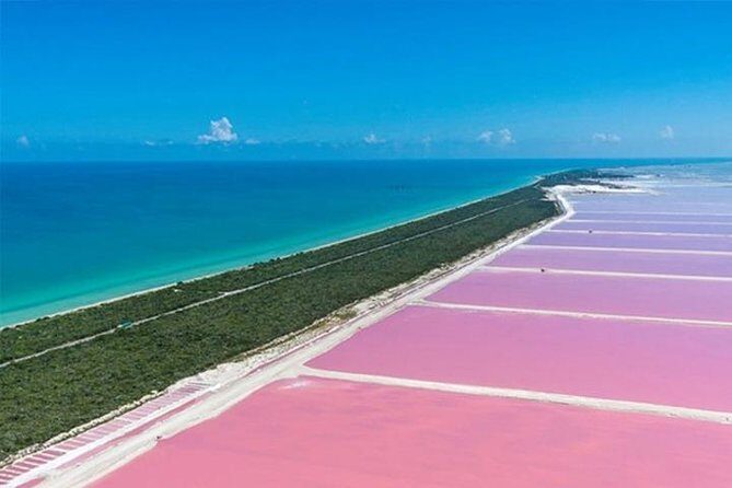 Río Lagartos y Las Coloradas Private Tour from Merida - Authentic Experiences and What Travelers Say