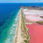 Rio Lizards and Las Coloradas Ecosafari Maya Natural Experience - What Travelers Say