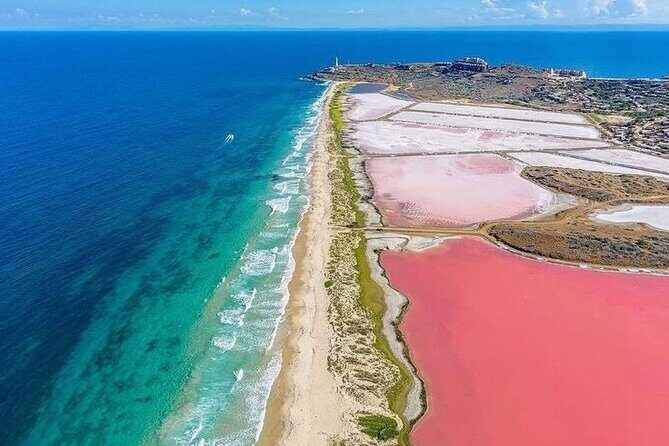 Rio Lizards and Las Coloradas Ecosafari Maya Natural Experience - What Travelers Say