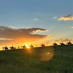 Rise and Shine 75 Minutes Early Morning Ride - Who Will Love This Tour?