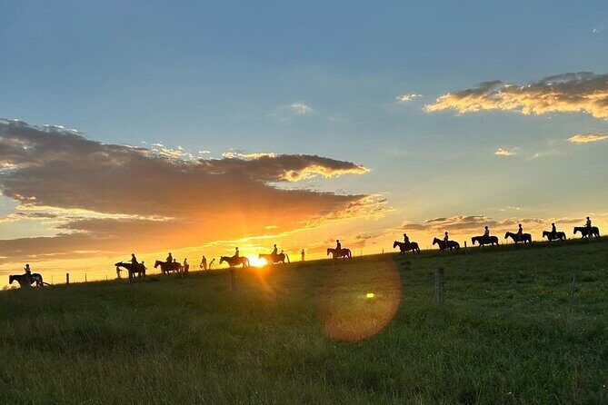 Rise and Shine 75 Minutes Early Morning Ride - Who Will Love This Tour?