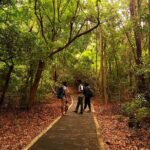 Ritigala, Kala Wewa and Namal Uyana from Habarana - An Overview of the Tour’s Highlights