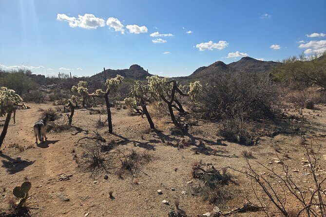 Ritz Dove Mountain and Totolita Hiking - Who Will Love This Tour?
