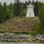 River Relics Kayaking Adventure - The Itinerary: What You’ll Experience