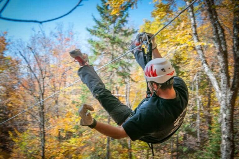 River Ziplines - Nature Tours - Why You Should Consider It