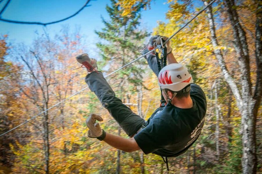 River Ziplines - Nature Tours - Why You Should Consider It
