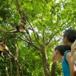 Riviera Maya: Croco Cun Interactive Zoo Tour - The Itinerary and Experience