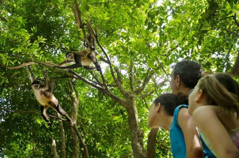 Riviera Maya: Croco Cun Interactive Zoo Tour - The Itinerary and Experience
