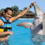 Riviera Maya: Dolphin Encounter with Beach Club Access - What’s the Dolphin Encounter Like?