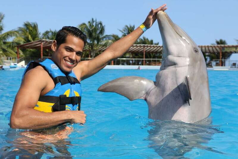 Riviera Maya: Dolphin Encounter with Beach Club Access - What’s the Dolphin Encounter Like?