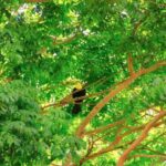 Riviera Maya: Horseback Riding at Rancho Bonanza - The Itinerary in Detail