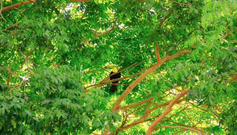 Riviera Maya: Horseback Riding at Rancho Bonanza - The Itinerary in Detail