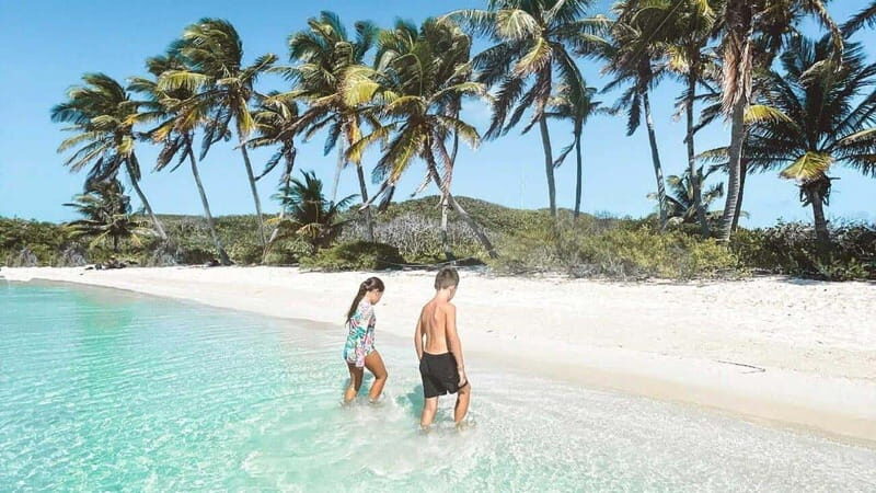 Riviera Maya: Isla Contoy and Isla Mujeres Full-Day Tour - What Travelers Are Saying