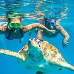 Riviera Maya: Nado con Tortugas, Cenote y Almuerzo mexicano. - Starting with Cenotes and Caves