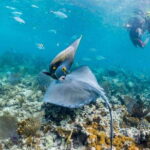 Riviera Maya: Private Catamaran Sailing for 42 Guests - Analyzing the Value