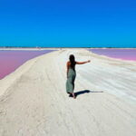 Riviera Maya: Rio Lagartos & Las Coloradas Day Trip w/Lunch - The Value of the Tour