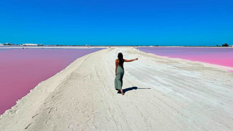 Riviera Maya: Rio Lagartos & Las Coloradas Day Trip w/Lunch - The Value of the Tour