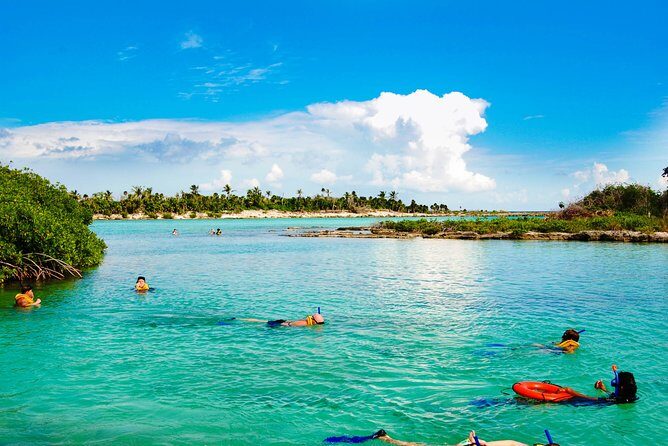 Riviera Maya Snorkeling Adventure: Lagoon, Cenotes Open & Cavern - Who Is This Tour Best For?
