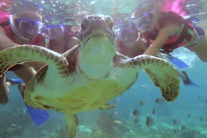 Riviera Maya Snorkeling - Evaluating the Value: Price, Experience, and Overall