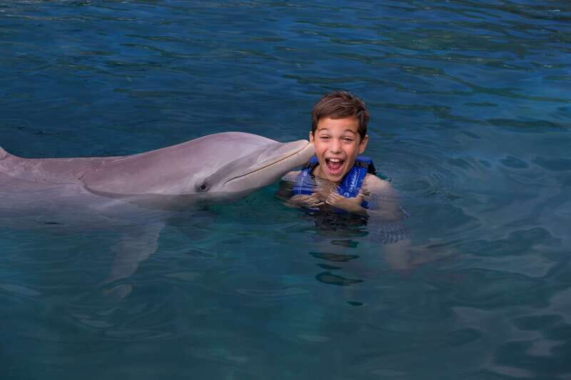 Riviera Maya: Swim with dolphins Interax - The Details That Matter