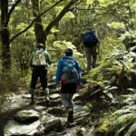 Rob Roy Glacier Guided Walk - Transportation and Group Size